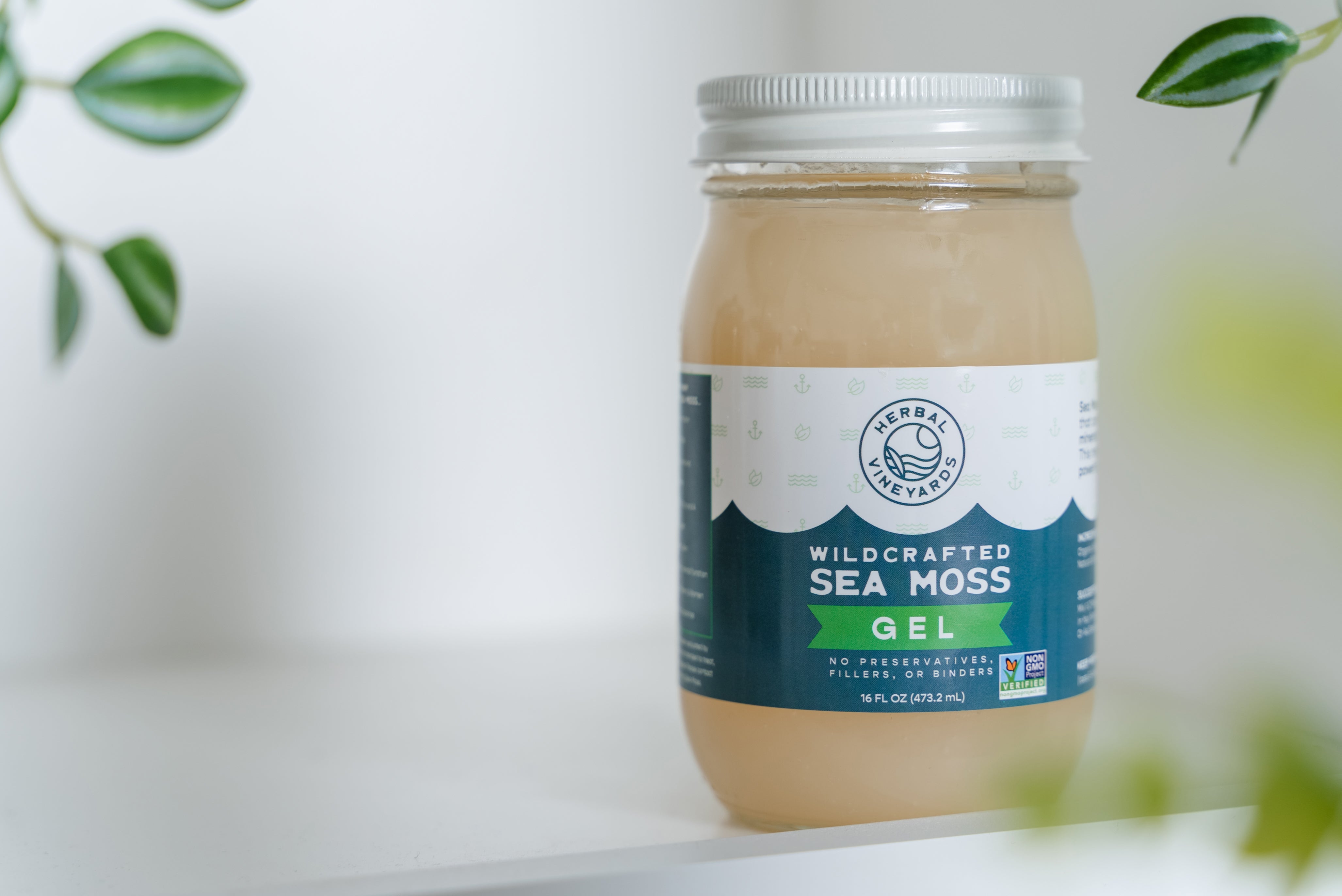 Why Your Child Should Eat Sea Moss Supplement - Herbal Vineyards