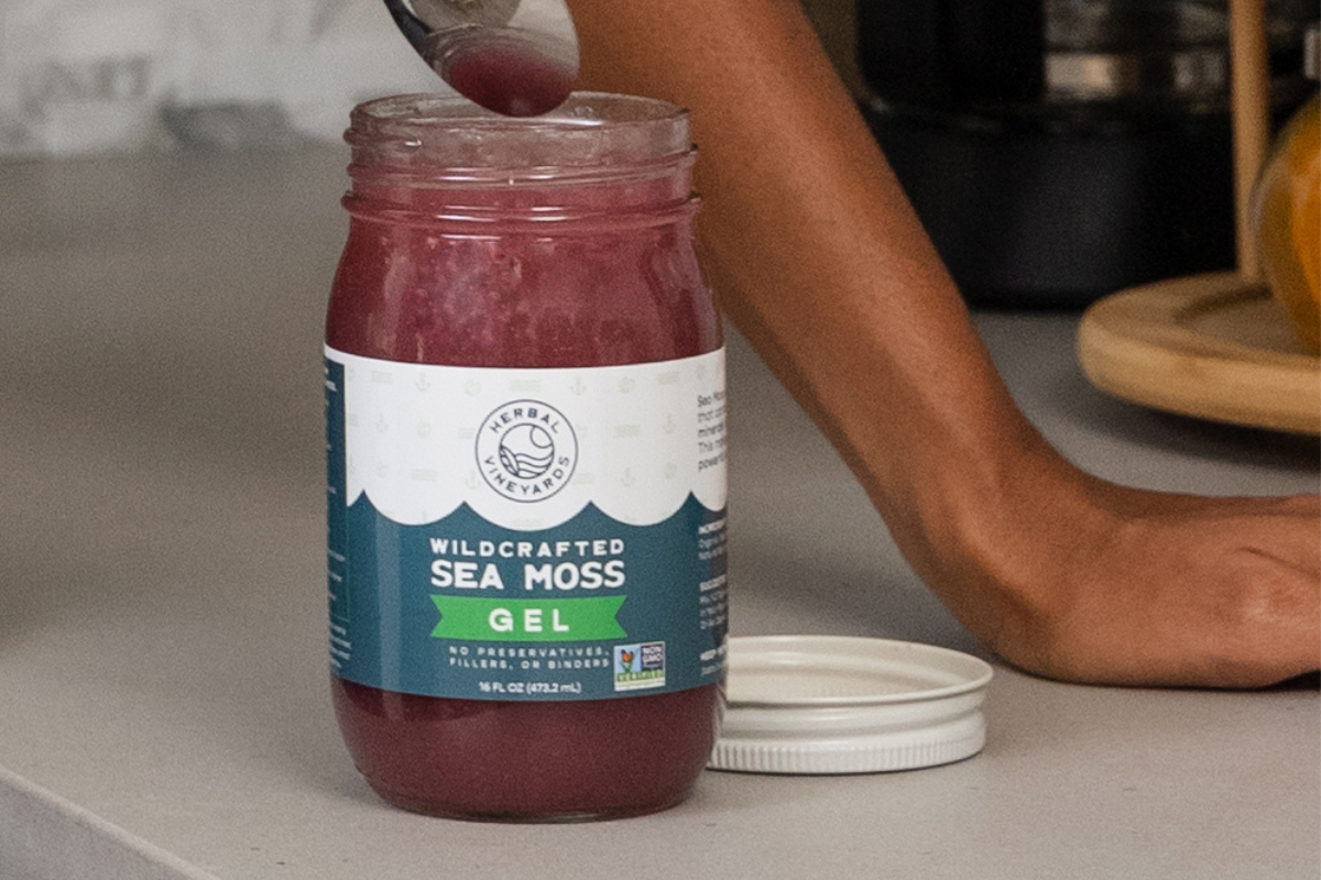 Sea Moss: A Game Changer for Food Security – Herbal Vineyards